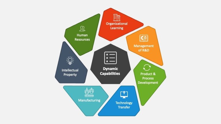 Dynamic Capabilities Framework Dynamic Capabilities Framework