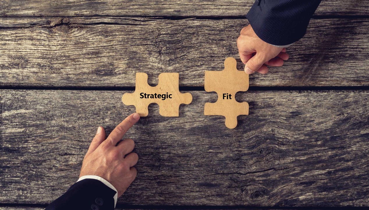 Understanding the Strategic Fit Model